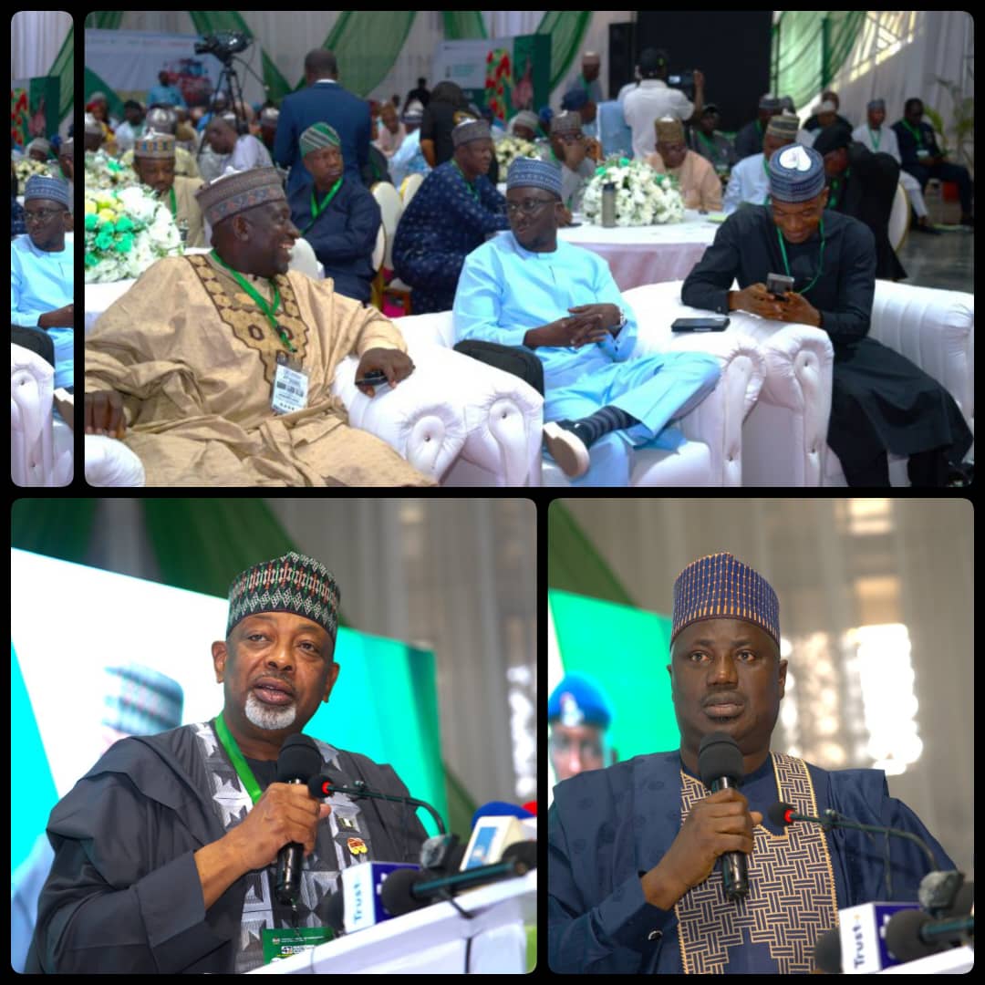 "NADF Serves As A Key Instrument For Expanding Access To Finance ...